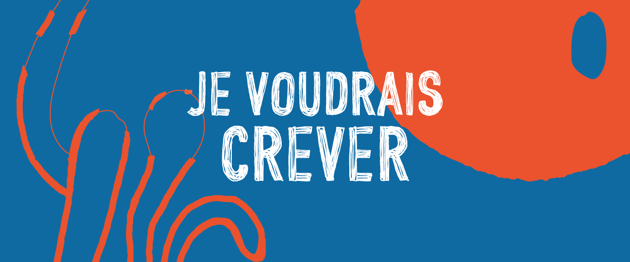 JE VOUDRAIS CREVER ~ CDN de Normandie-Rouen ~ Les Anges au Plafond