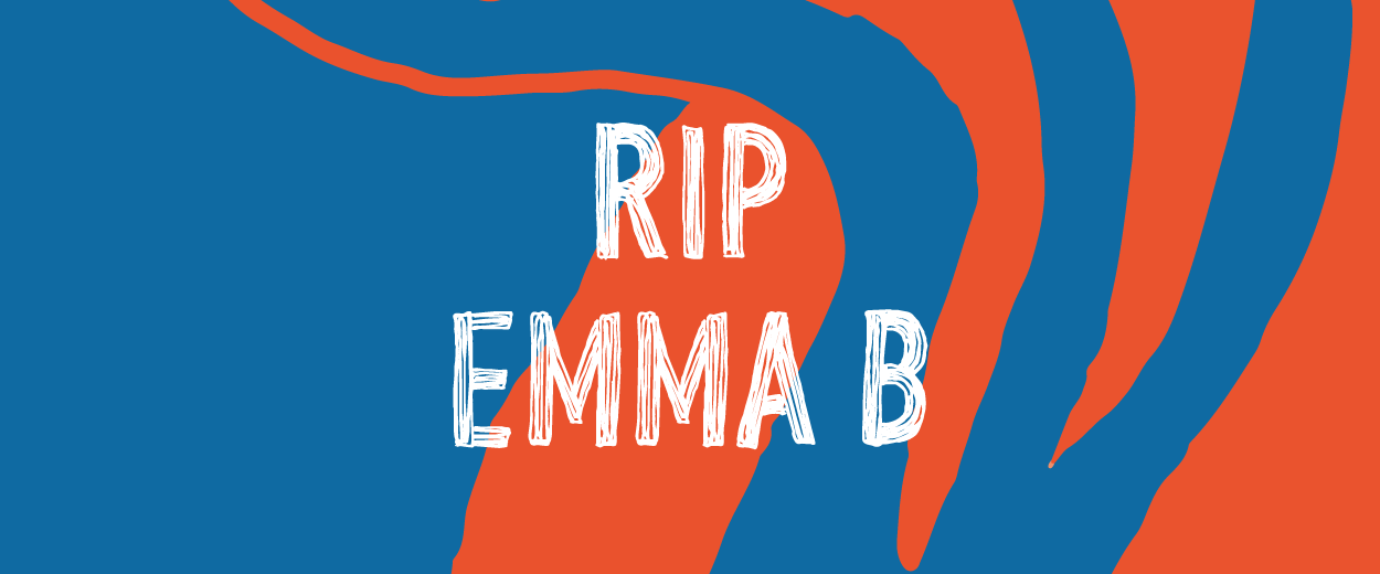 RIP EMMA B ~ CDN de Normandie-Rouen ~ Les Anges au Plafond