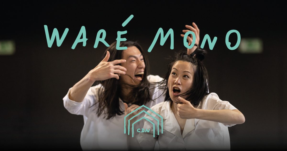 WARÉ MONO ~ CDN de Normandie-Rouen ~ Les Anges au Plafond