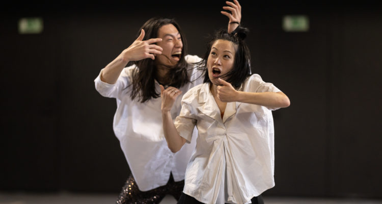 WARÉ MONO ~ CDN de Normandie-Rouen ~ Les Anges au Plafond